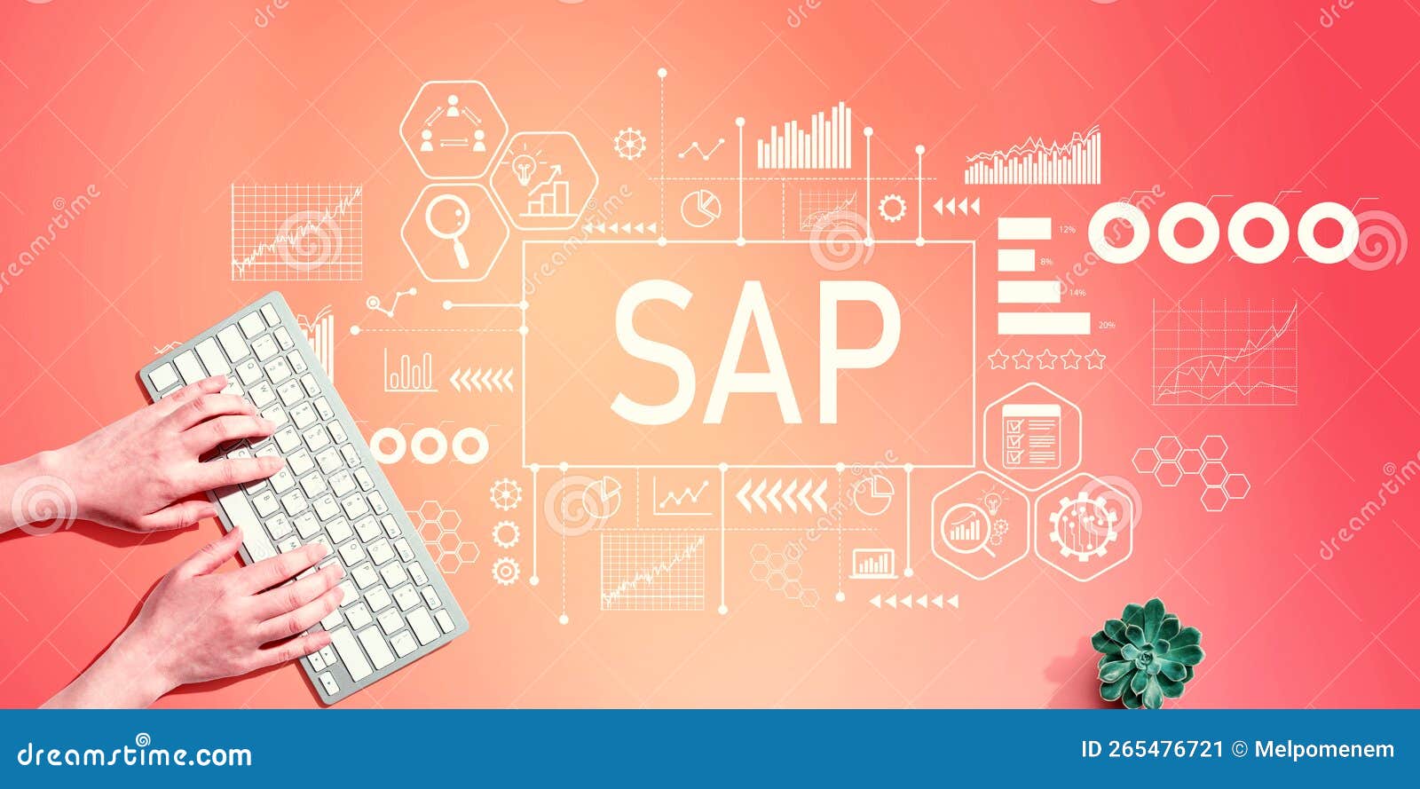 SAP Theme with Person Using Computer Keyboard Stock Image - Image of ...