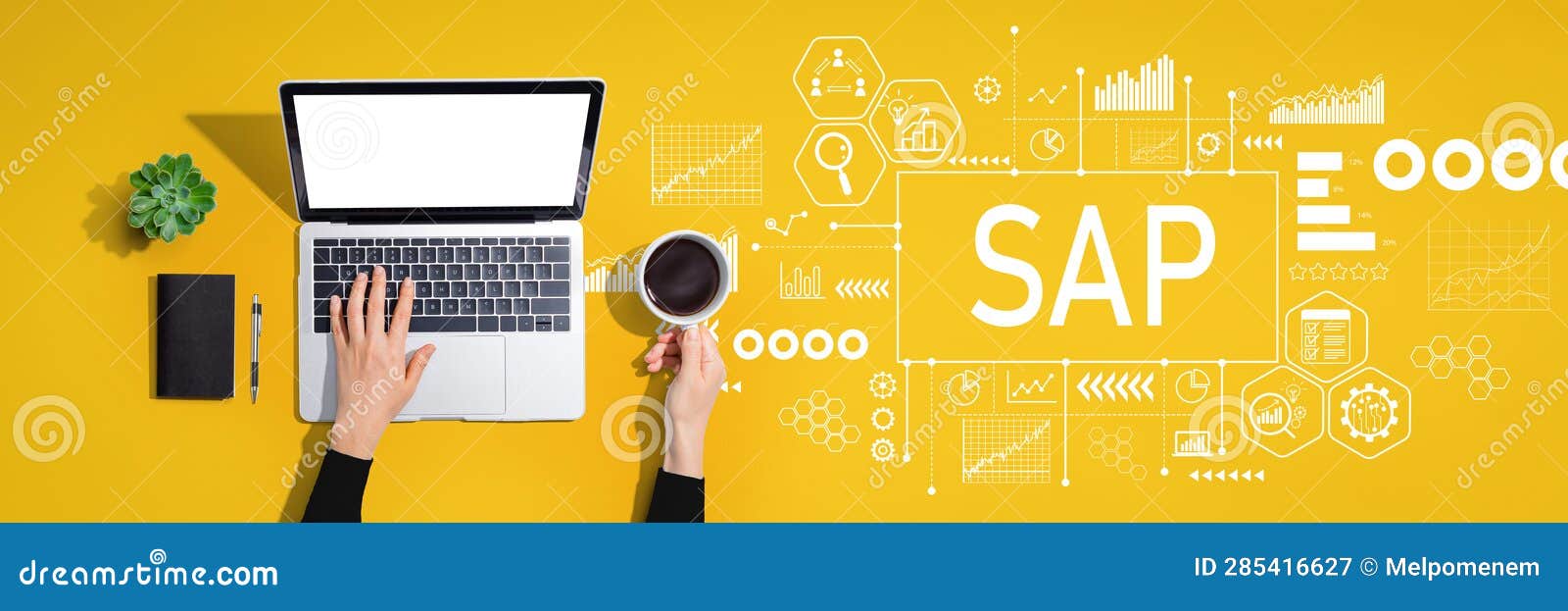SAP Theme with Person Using Laptop Computer Stock Image - Image of ...