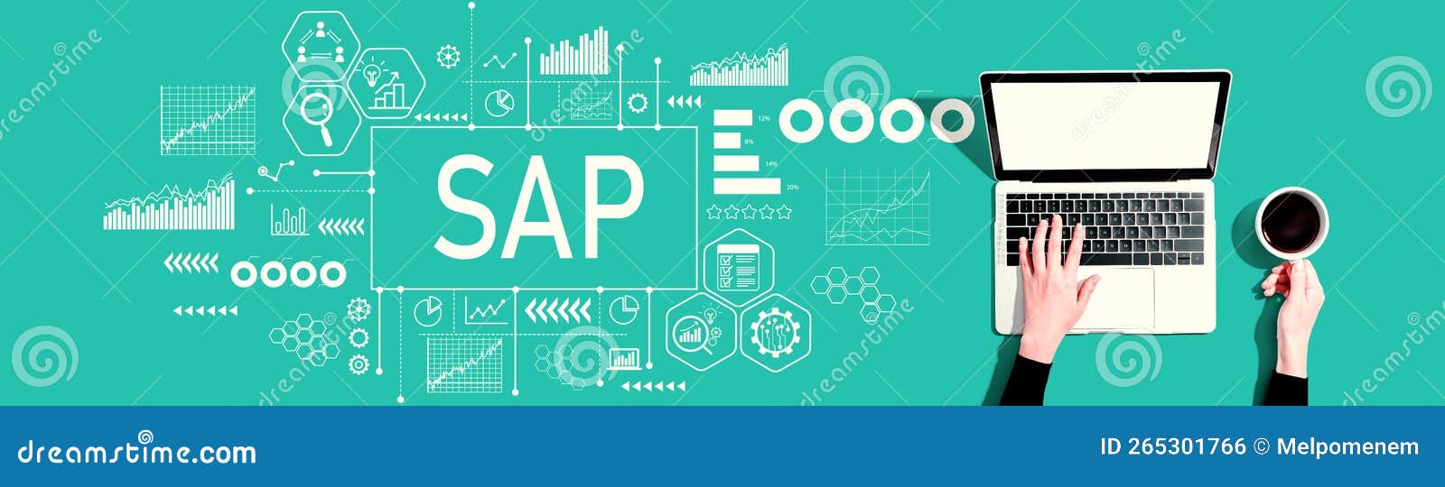 SAP Theme with Person Using a Laptop Stock Photo - Image of process ...