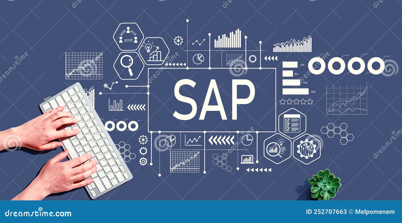 SAP Theme with Person Using Pc Keyboard Stock Image - Image of system ...