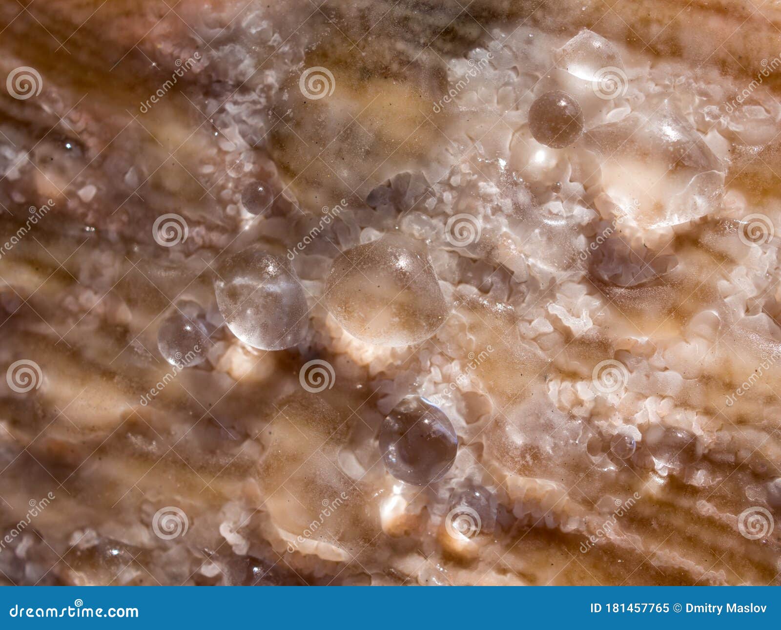 Sap on a tree stump stock image. Image of drop, birch - 181457765