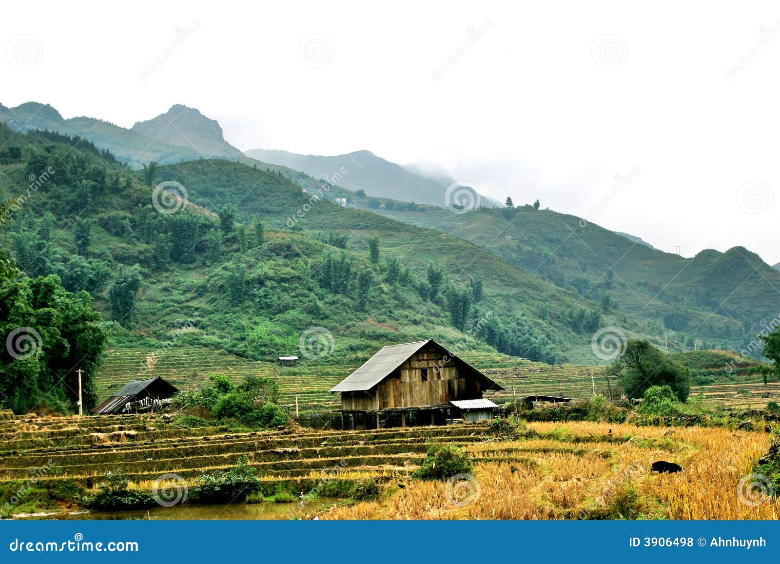 Sapa stock photo. Image of sapa, adventure, landscape - 3906498