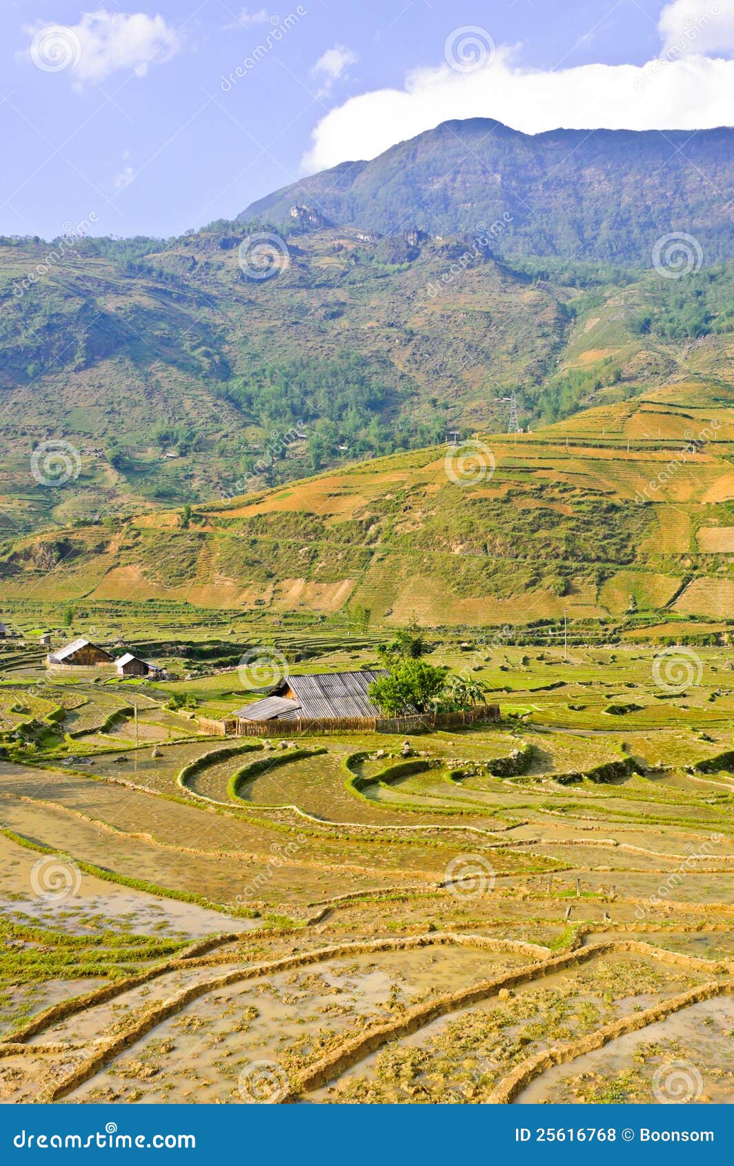 Sapa Hill Tribe Rice Terraced Fields Stock Photo - Image of nature ...