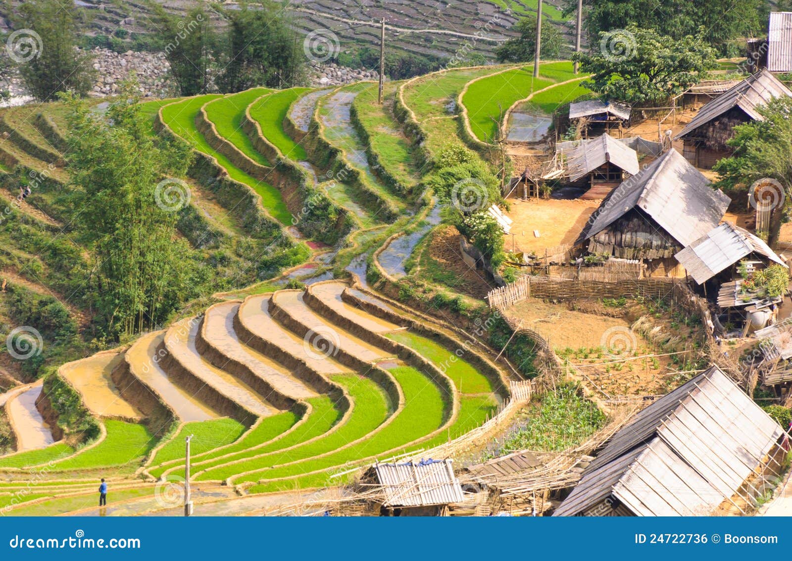 Sapa rice terraced fields stock photo. Image of culture - 24722736
