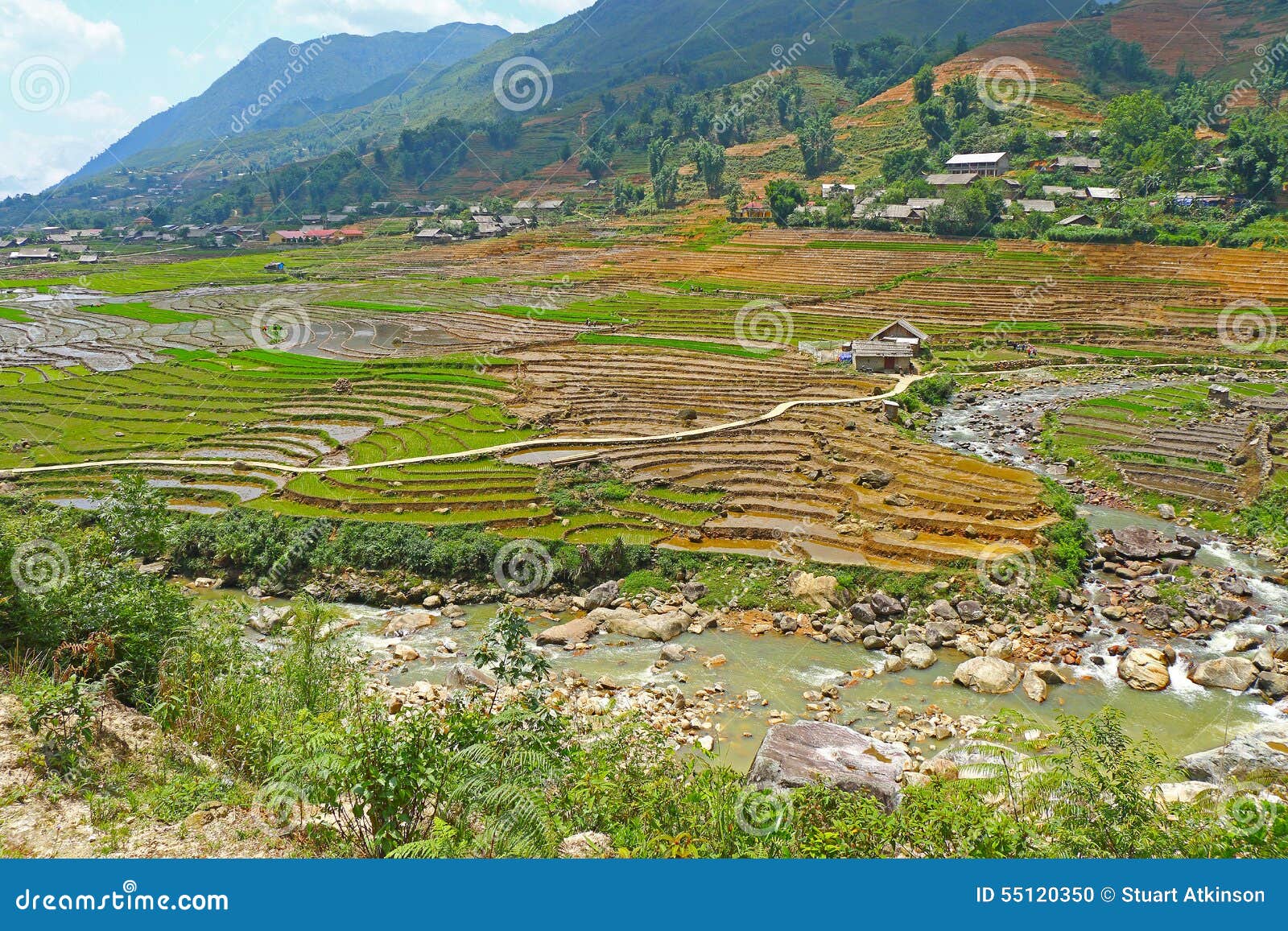 Sapa rice terraces Vietnam editorial image. Image of outside - 55120350