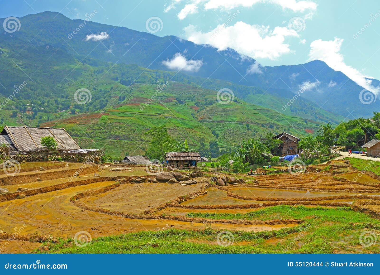 Sapa rice terraces Vietnam stock photo. Image of ecology - 55120444