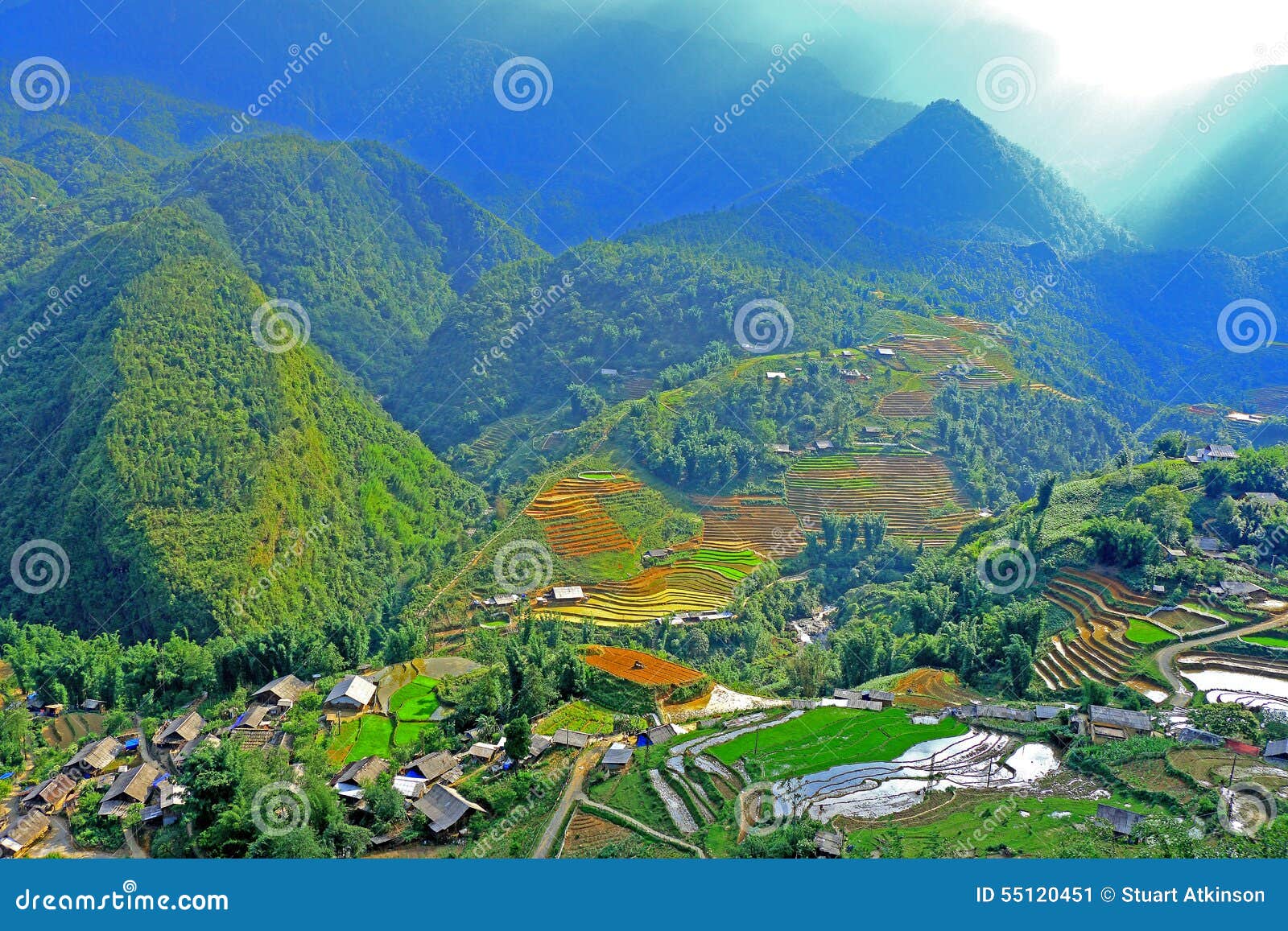 Sapa rice terraces Vietnam stock image. Image of organic - 55120451