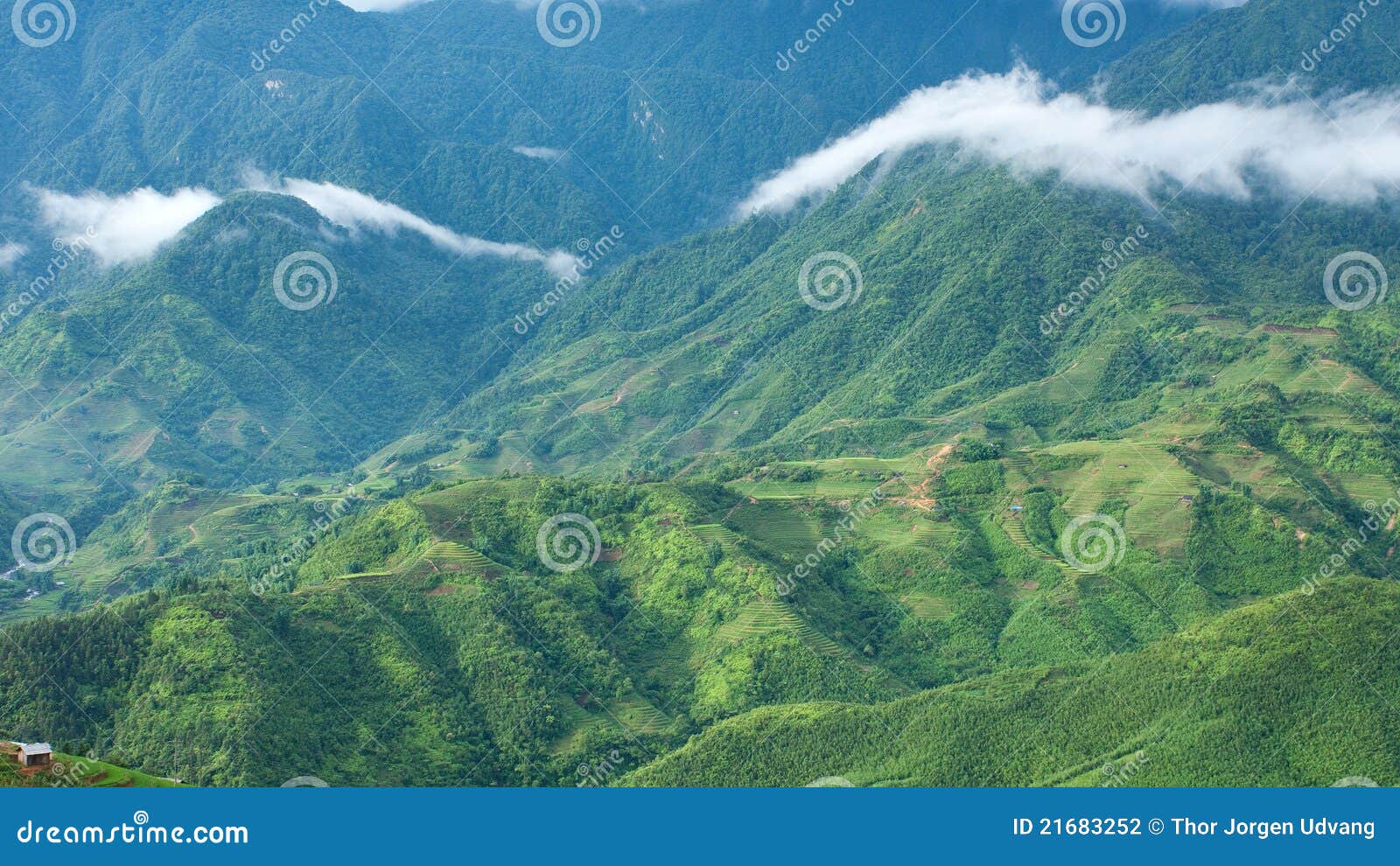 Sapa Valley in Vietnam stock photo. Image of vietnam - 21683252