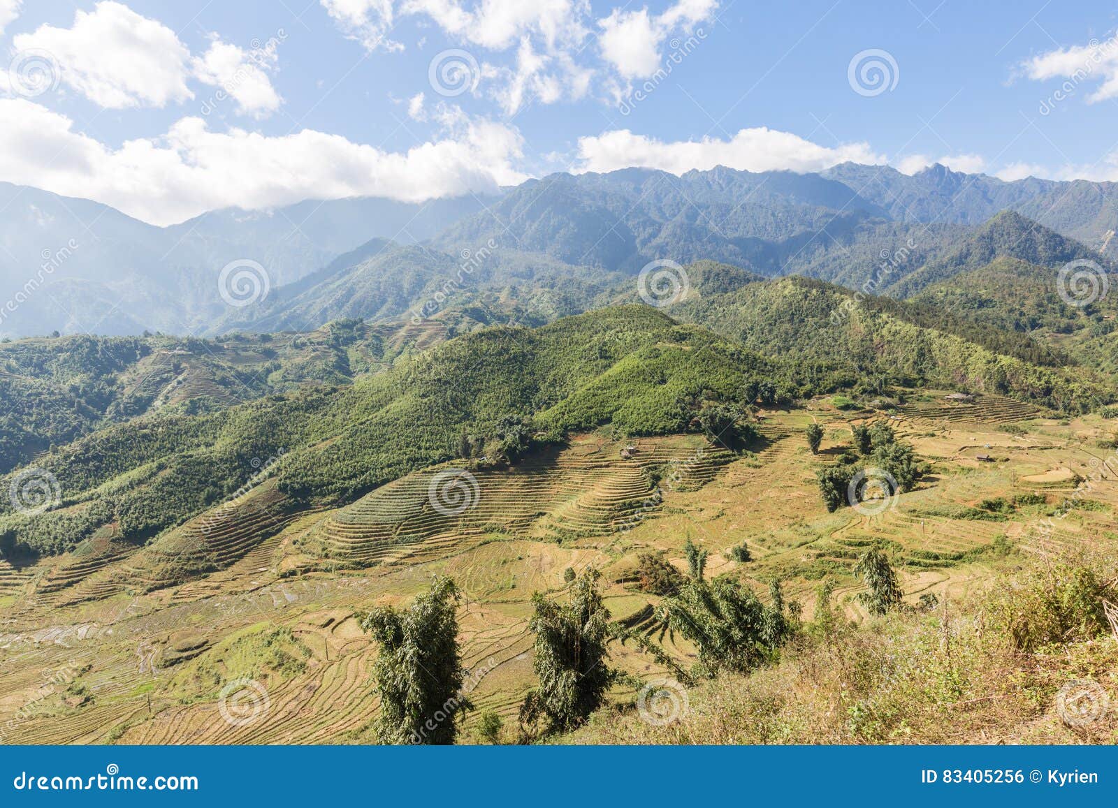 Sapa valley in Vietnam stock photo. Image of plantation - 83405256