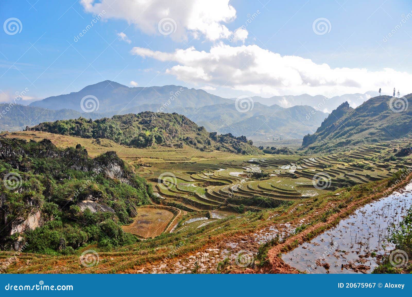 Sapa, Vietnam imagen de archivo. Imagen de colina, prado - 20675967