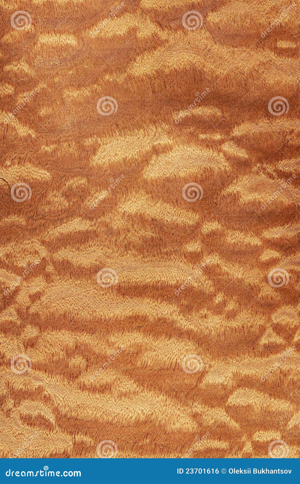 Sapele Pomele (wood Texture) Stock Photo - Image of abstract, hardwood ...