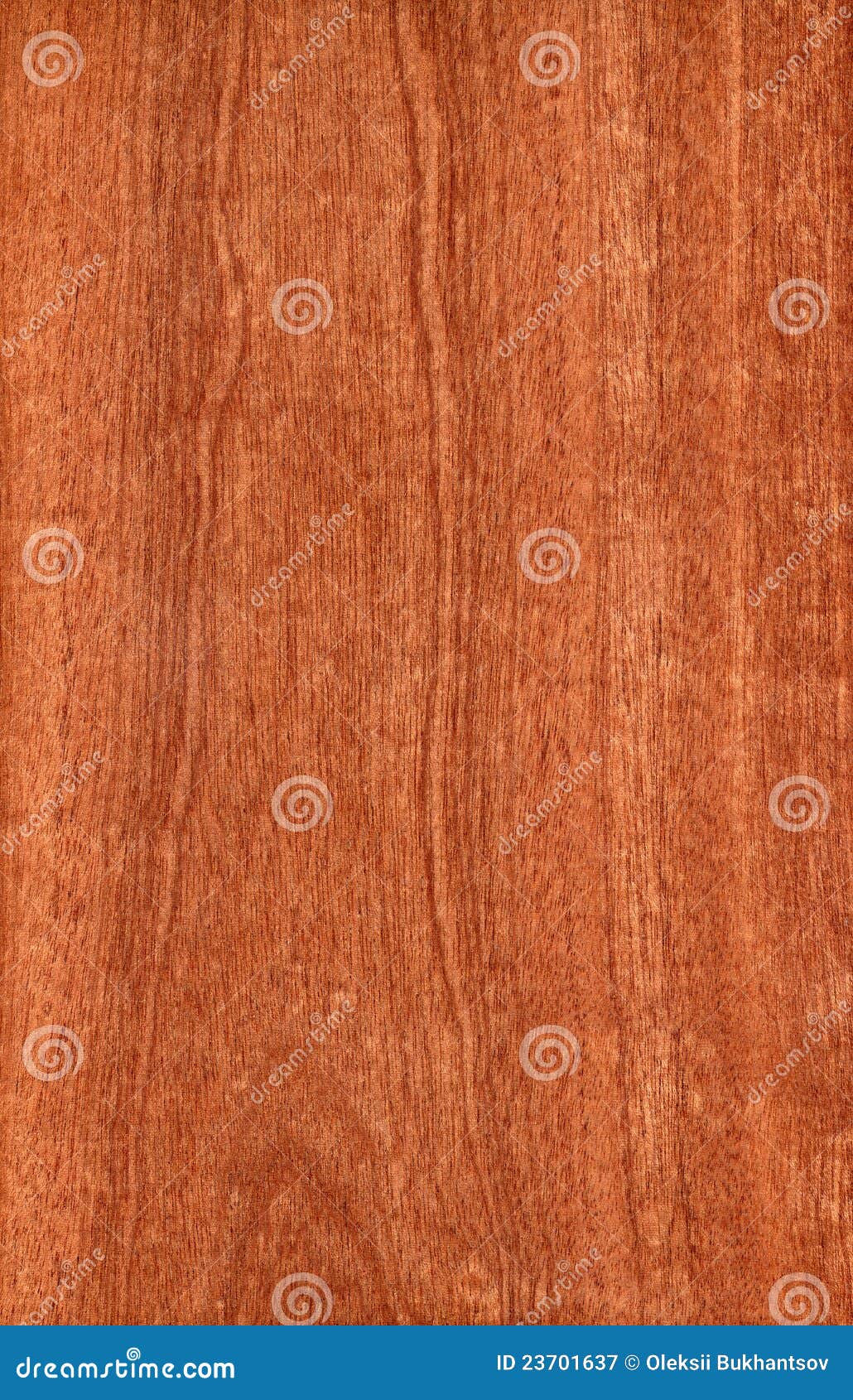 Sapele (texture en bois) image stock. Image du fibres - 23701637