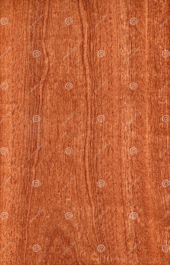 Sapele (wood texture) stock image. Image of detail, nature - 23701637