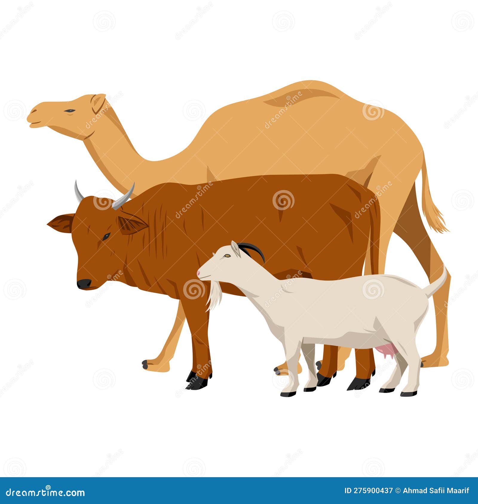 Camel, Cow and Goat Vector Illustration. Animal Cartoon Stock Vector ...