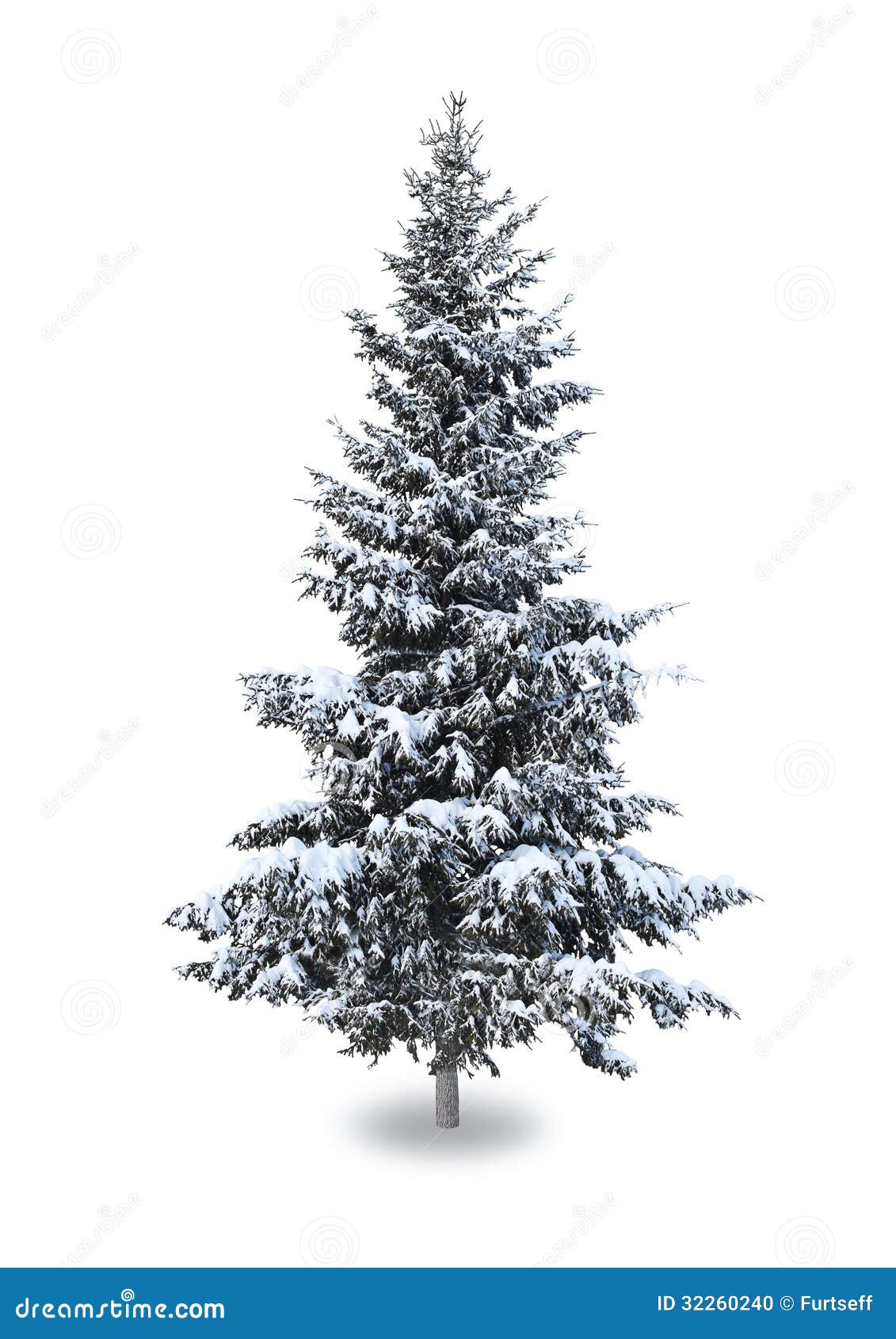 Sapin dans la neige photo stock. Image du congelé, décembre - 32260240
