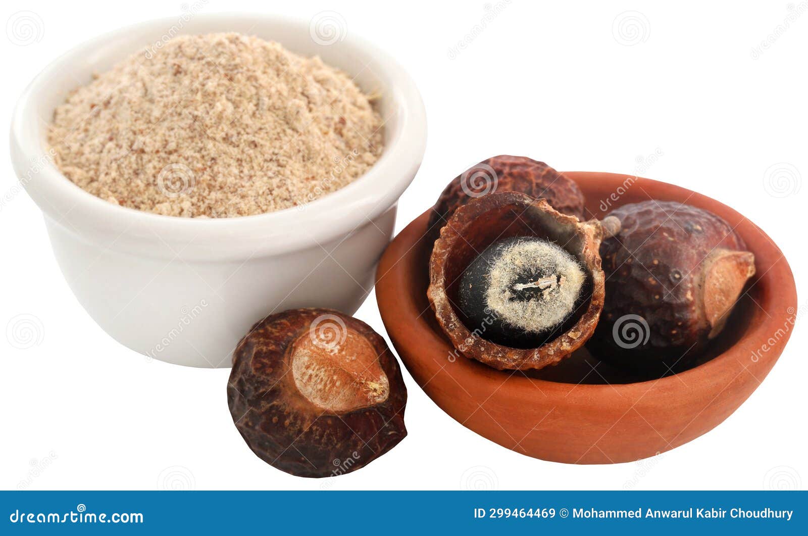 Sapindus Mukorossi with Powder Stock Image - Image of saponin ...