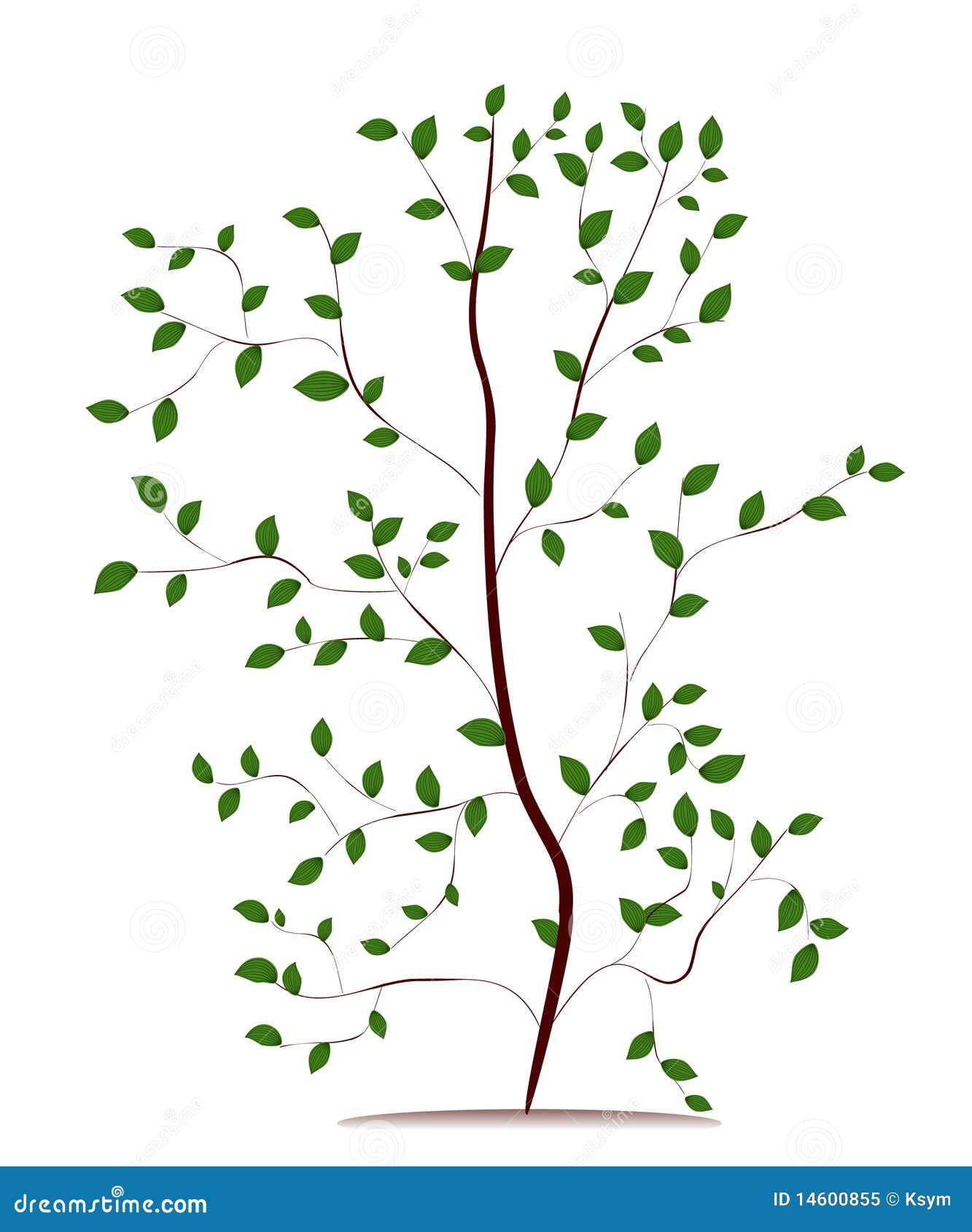 Sapling stock vector. Illustration of beauty, curve, modern - 14600855