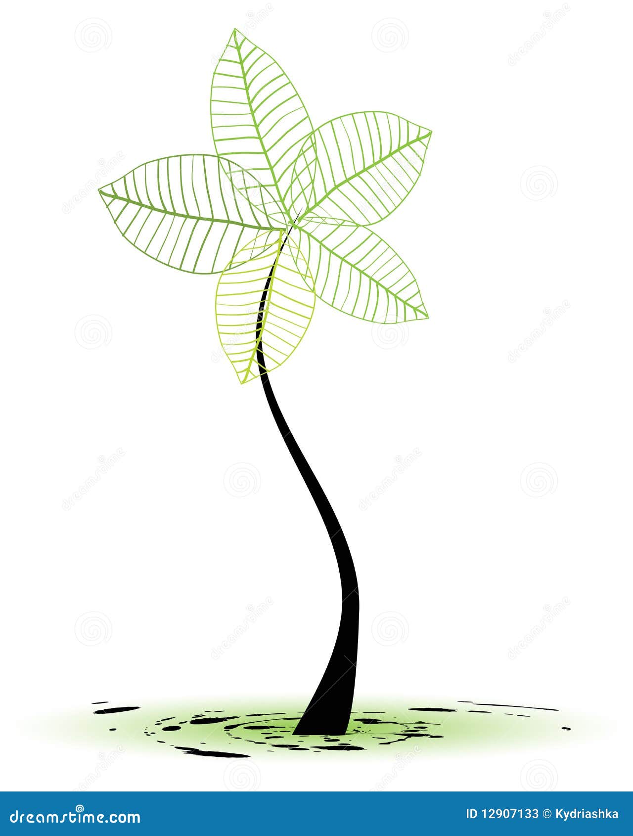 Sapling tree stock vector. Illustration of green, recovery - 12907133