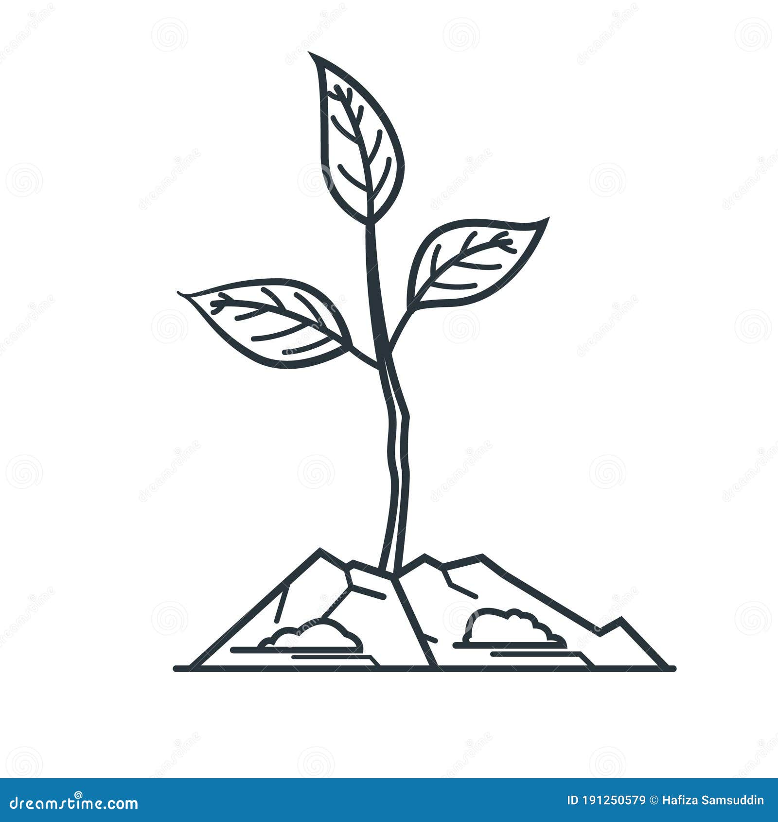 Sapling. Vector Illustration Decorative Design Stock Vector ...