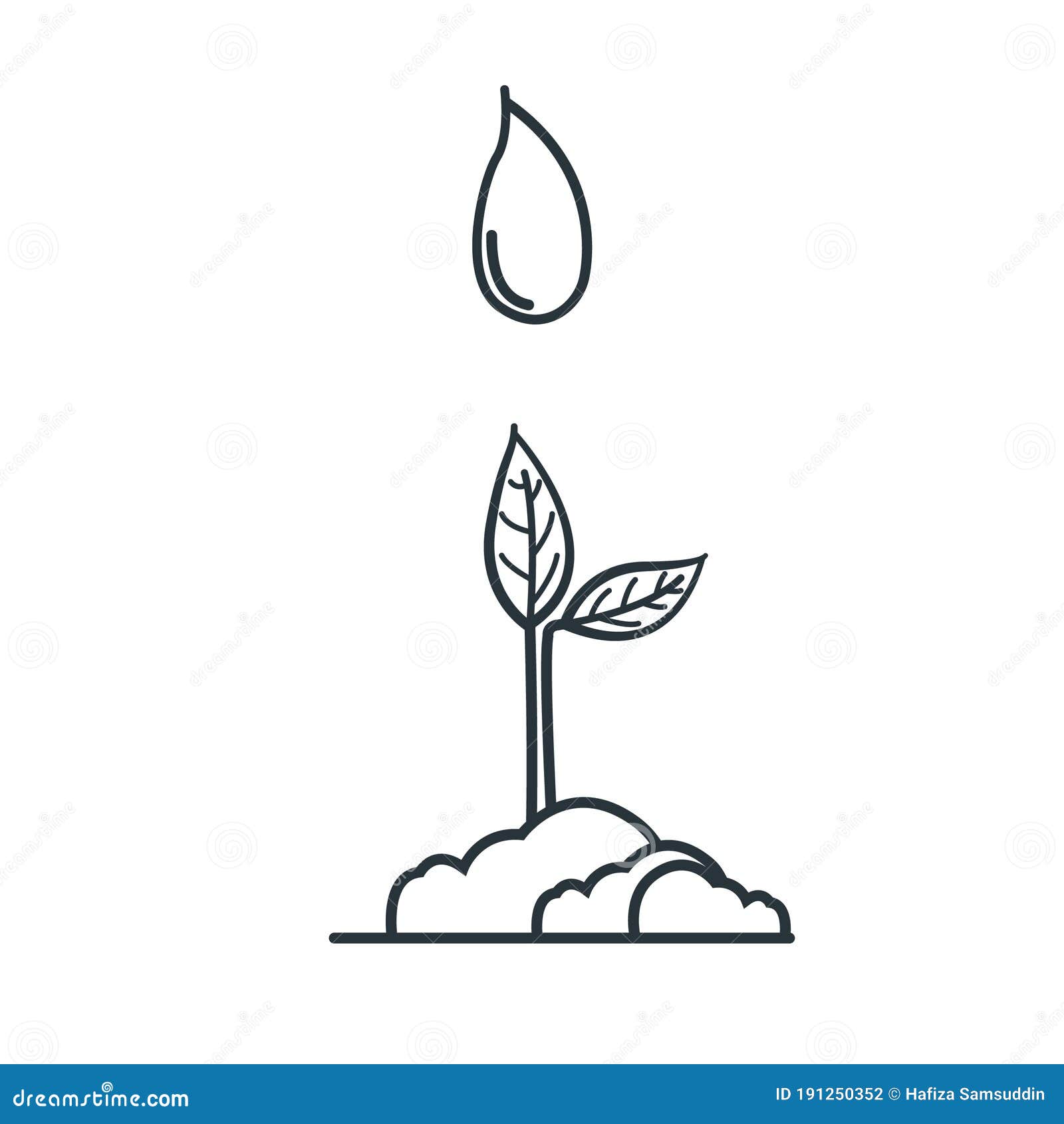 Sapling with Water Drop. Vector Illustration Decorative Design Stock ...