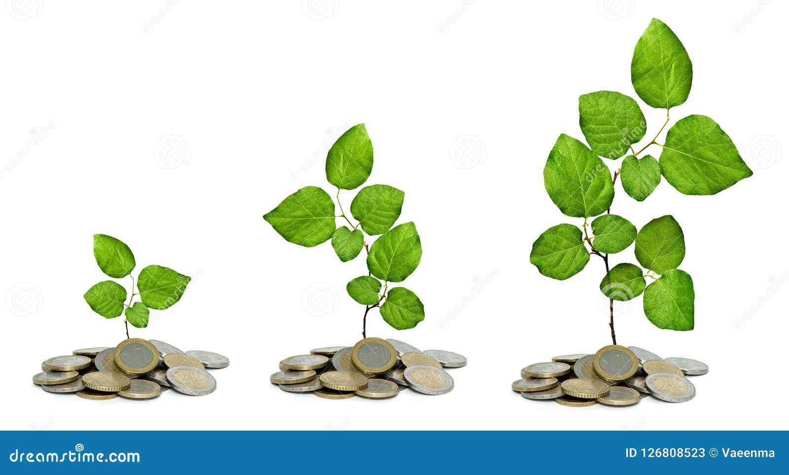 Saplings Are Growing From Fertile Soil, Including The Evolution Of ...