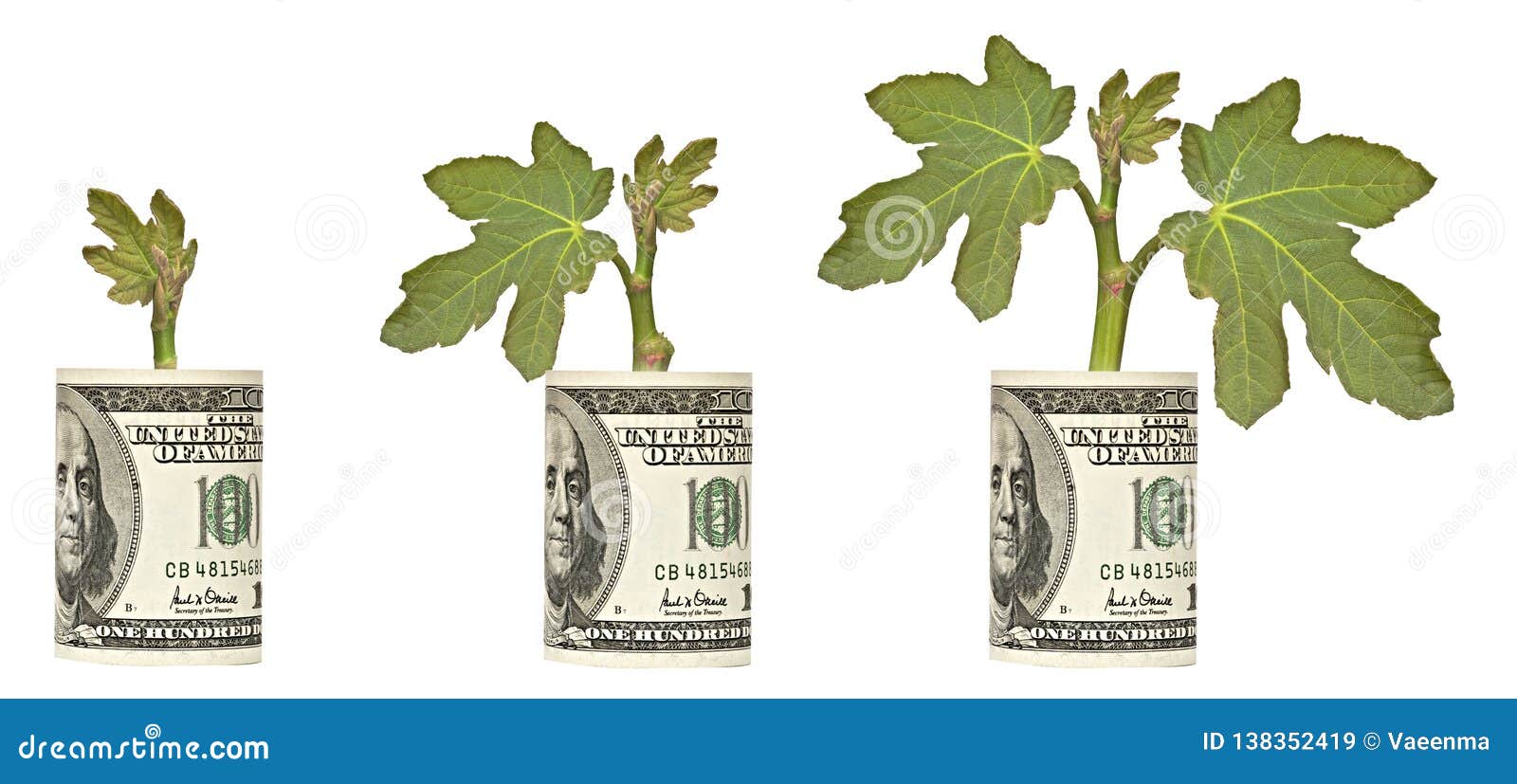 Saplings Are Growing From Fertile Soil, Including The Evolution Of ...