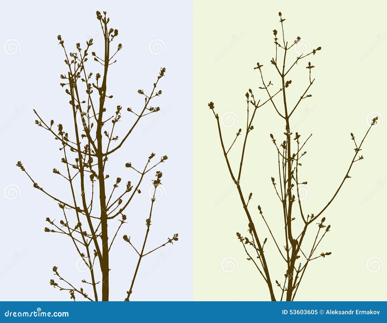 Saplings stock vector. Illustration of abstract, sprigs - 53603605