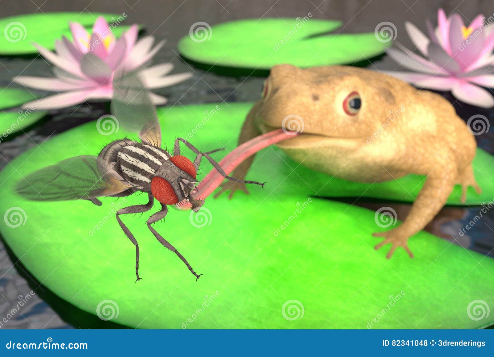 Sapo que come la mosca stock de ilustración. Ilustración de anfibio ...