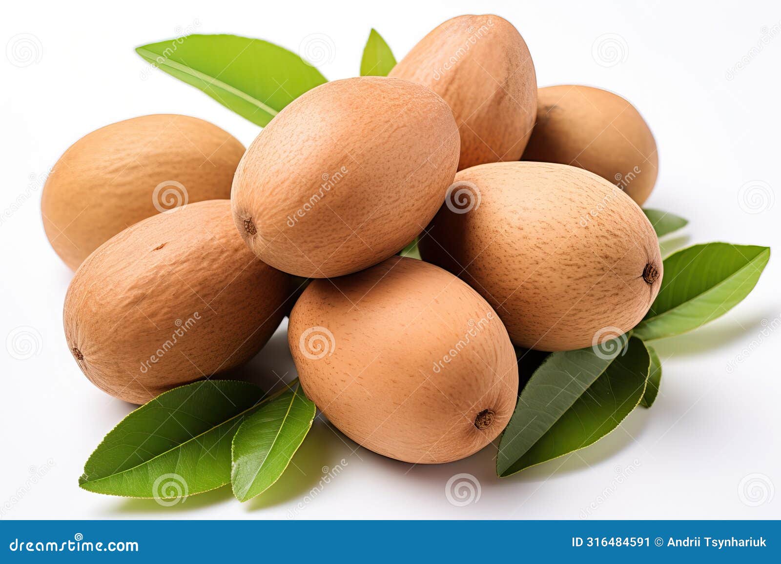 Sapodilla Close-up Isolated on White Background Stock Image - Image of ...