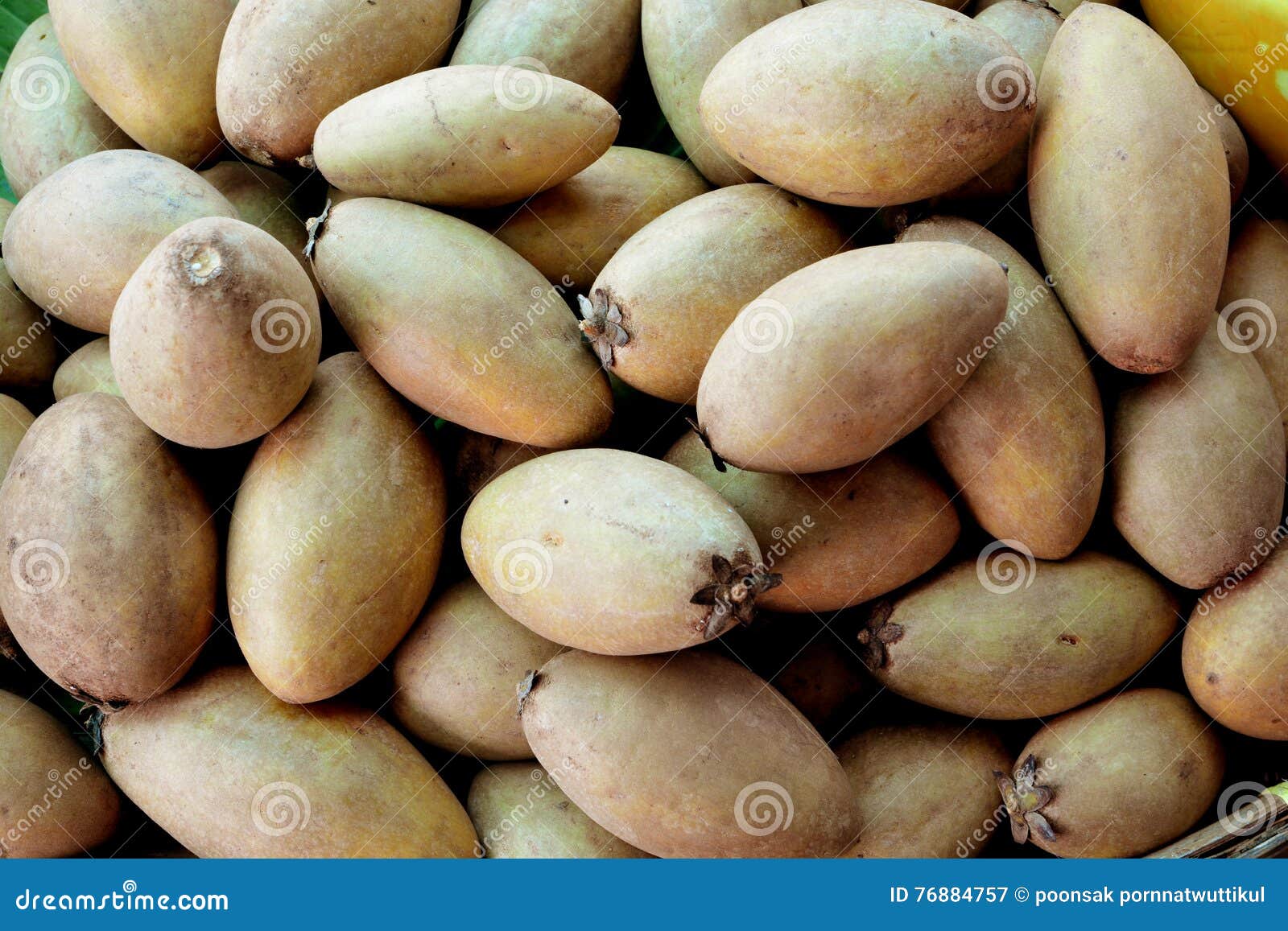 Sapodilla stock image. Image of exotic, fruits, nasaberry - 76884757