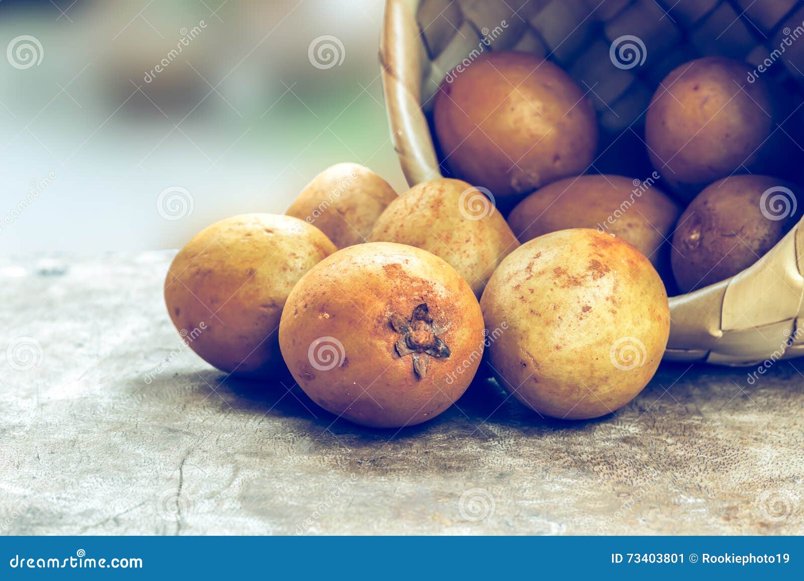 Sapodilla stock image. Image of horizontal, vitamin, seeds - 73403801
