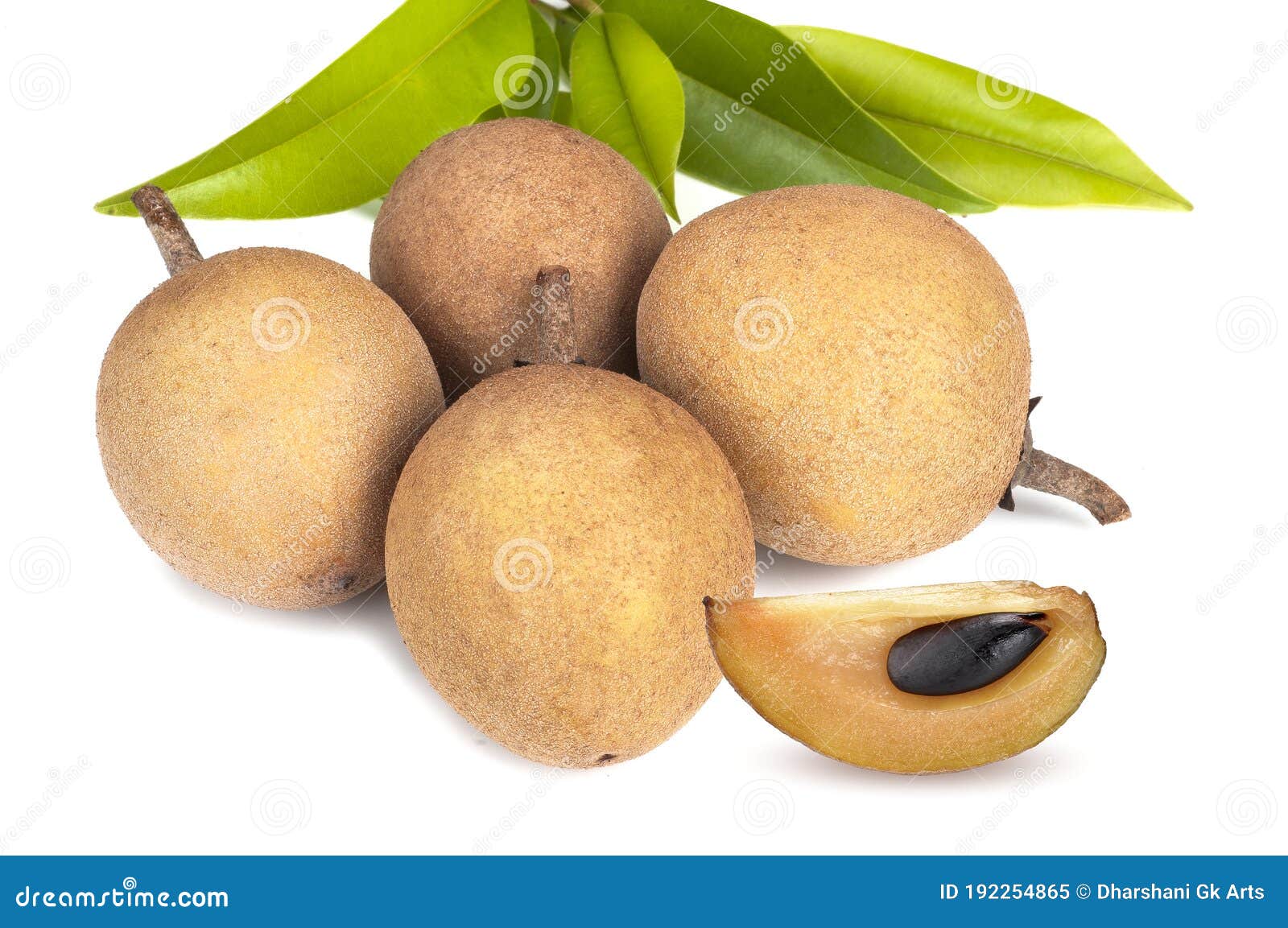 Sapodilla Fruit For Healthy. Sapodilla Fruit,chiku Or Sapodilla Is ...