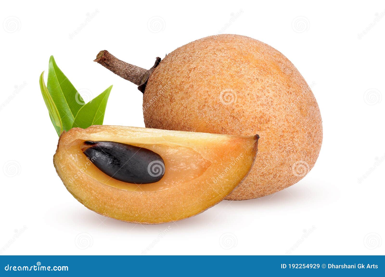 Sapodilla fruit stock image. Image of fruit, healthy - 192254929