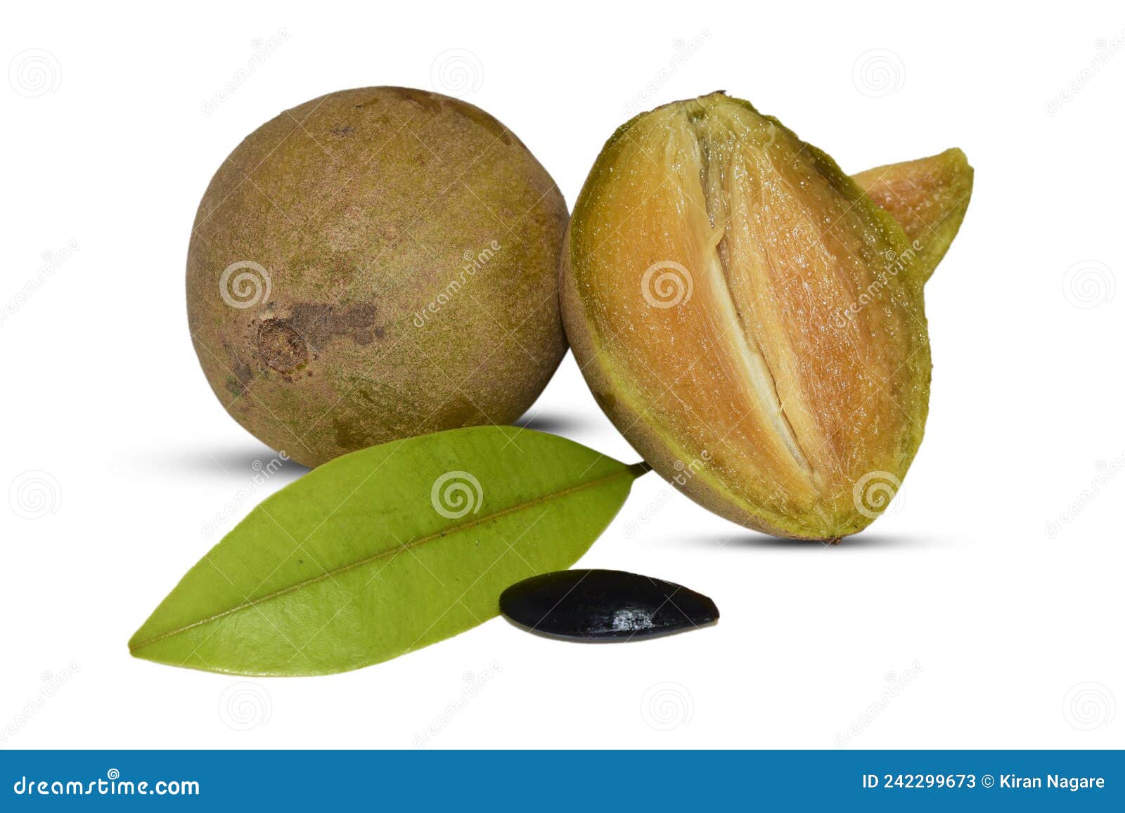 Chickoo fruit isolated. stock image. Image of nature - 242299673