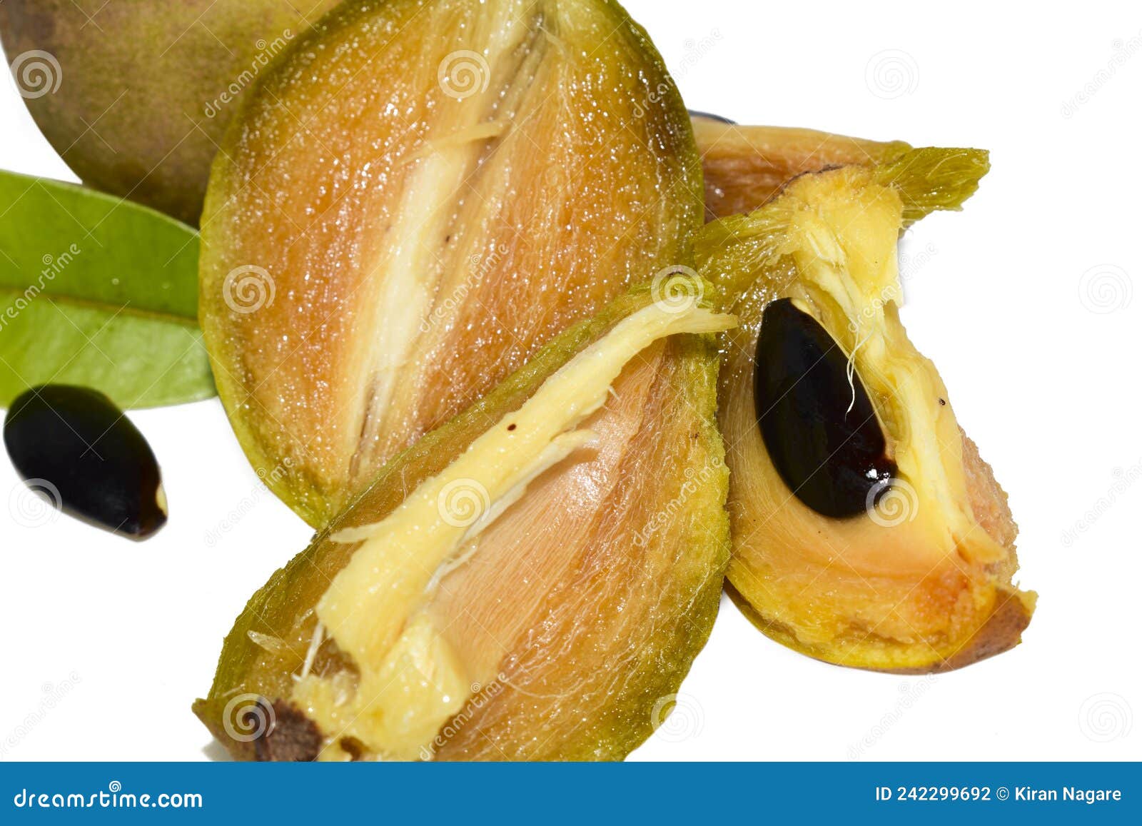 Chickoo fruit isolated. stock photo. Image of medicine - 242299692