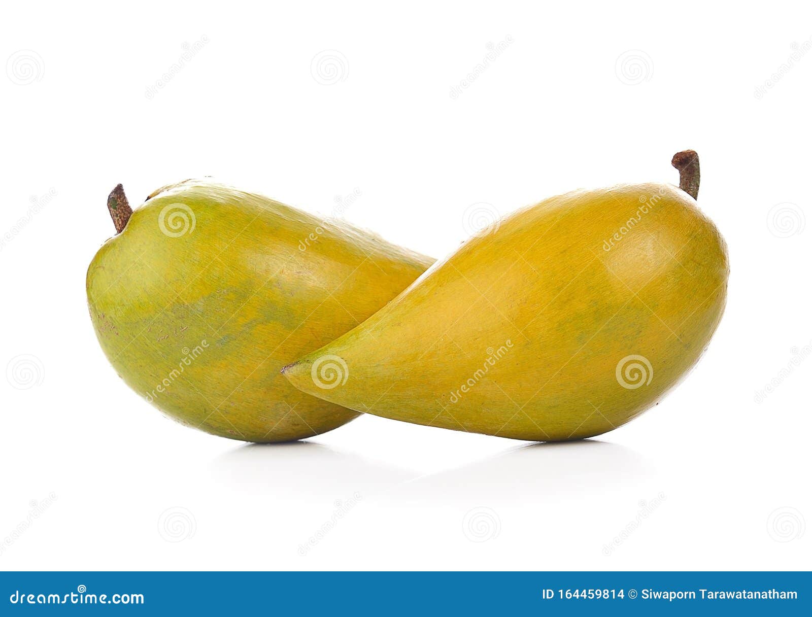 Sapodilla India Aislada De Fondo Blanco Foto de archivo - Imagen de ...