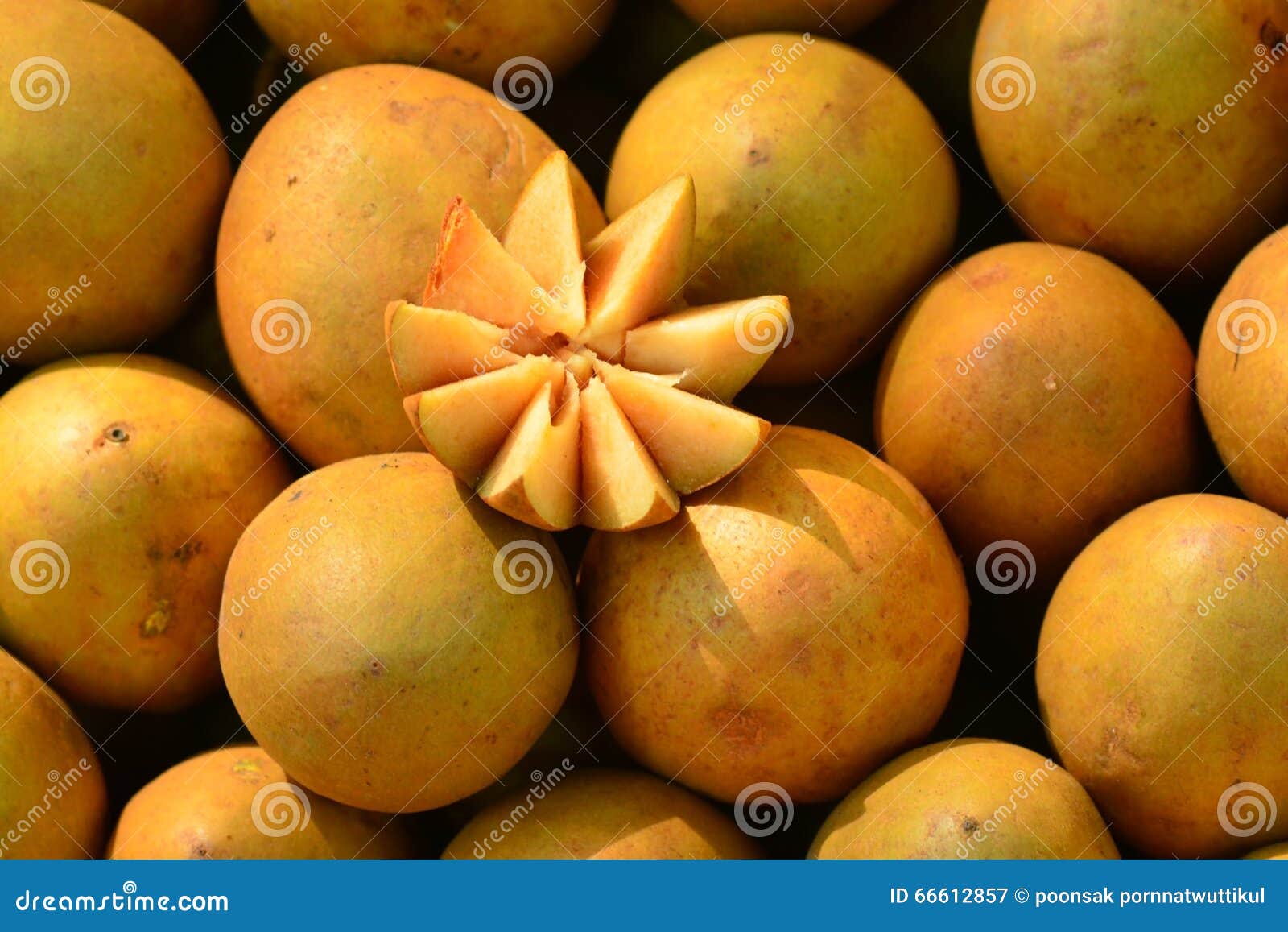 Sapodilla stock image. Image of sapota, health, diet - 66612857