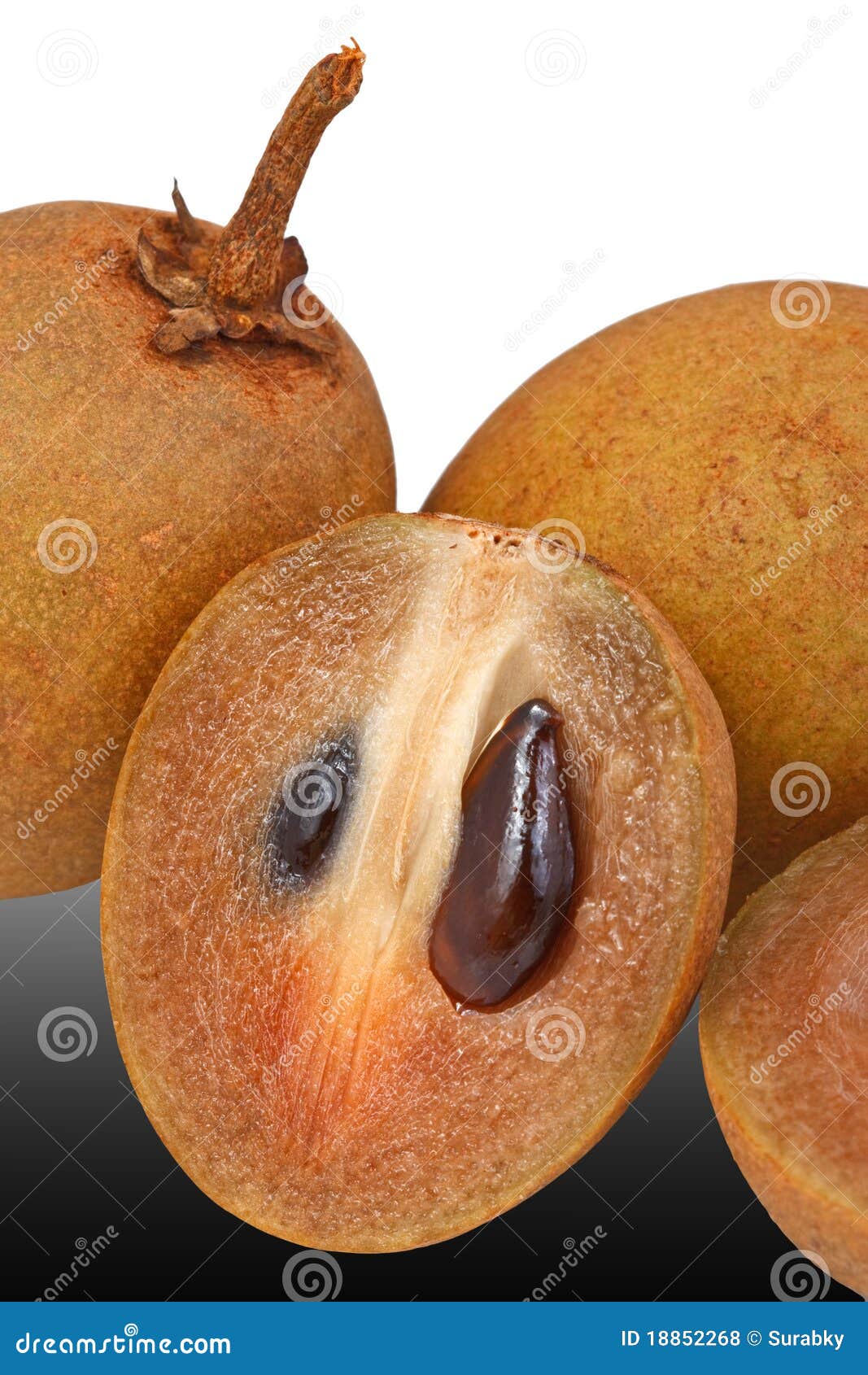 Sapodilla, tropical fruit stock photo. Image of sapodilla - 18852268