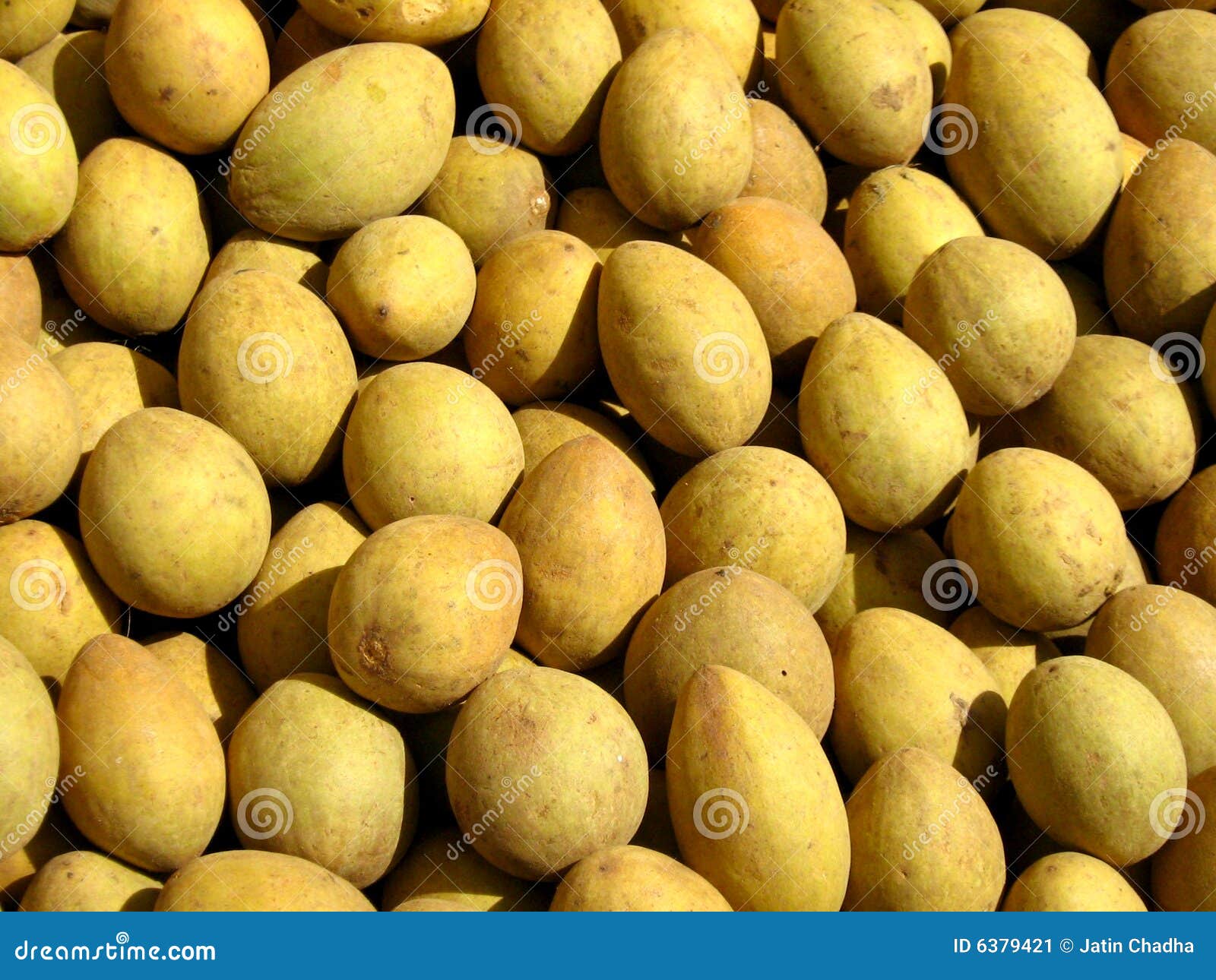 Sapota / Sapodilla Fruit for Background Stock Image - Image of ...