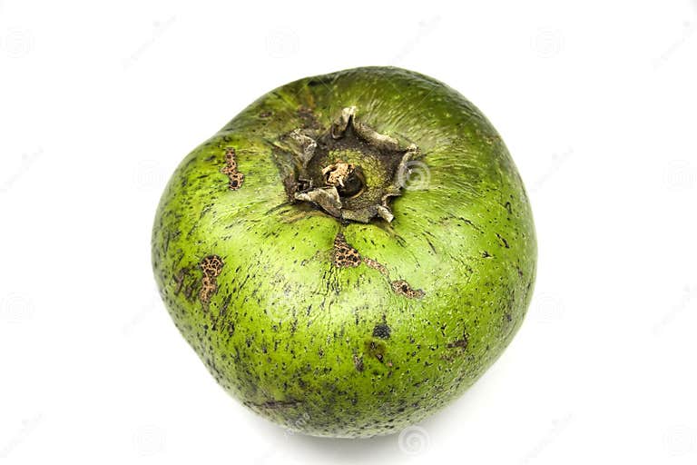 Sapote stock photo. Image of fruit, tropical, ingredient - 19944226