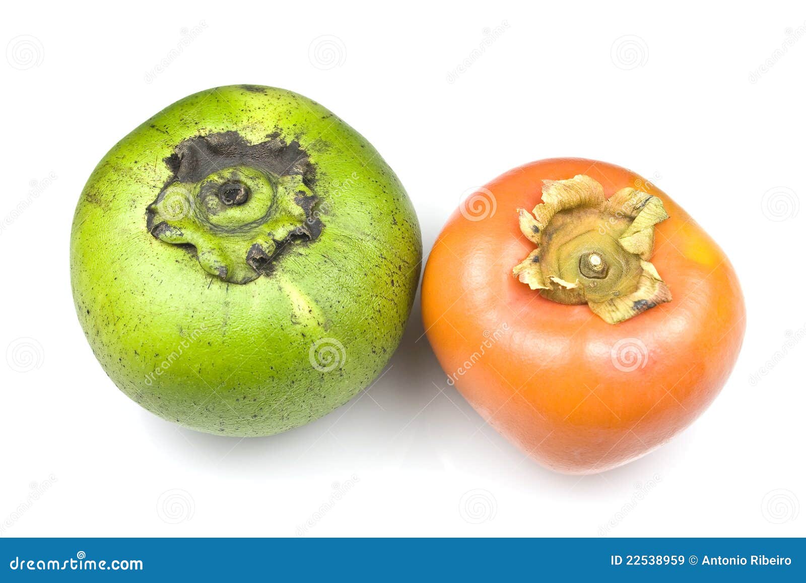Sapote image stock. Image du nourriture, fruits, frais - 22538959