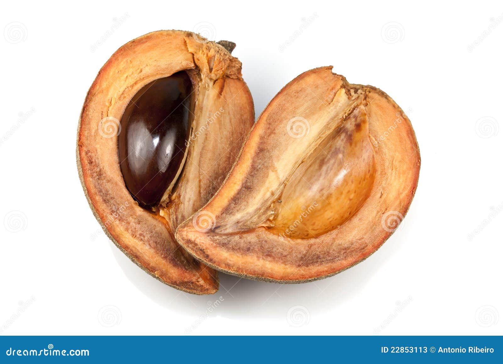 Sapote de Mamey imagen de archivo. Imagen de maduro, ingrediente - 22853113