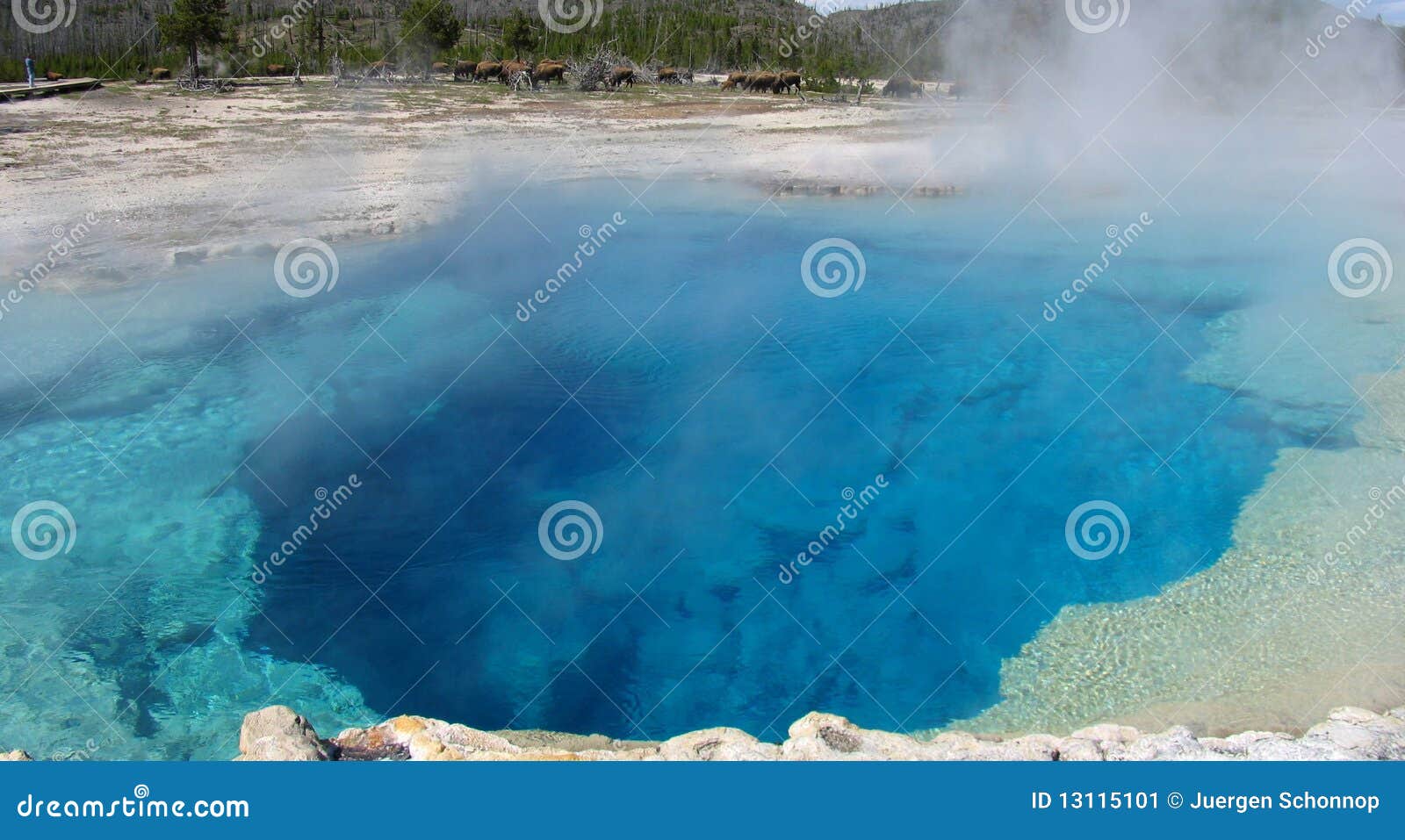 Sapphire Pool, Yellowstone National Park Stock Image - Image of basin ...