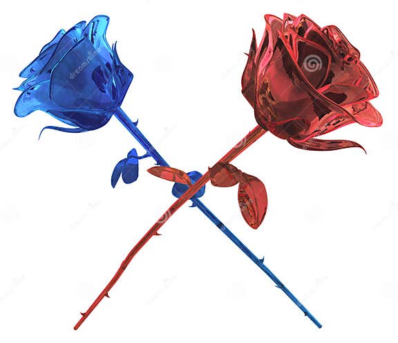 Sapphire Ruby Roses Crossed Ilustração Stock - Ilustração de planta ...