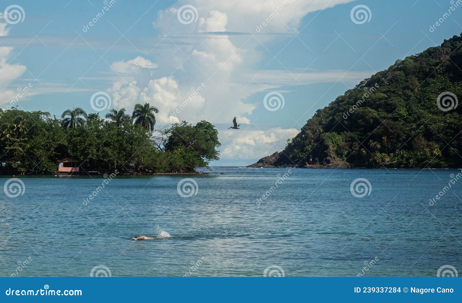 Sapzurro Bay in the Frontier with Panama. Choco, Colombia Stock Photo ...