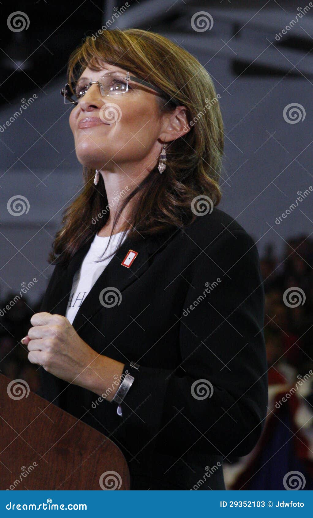 Sarah Palin editorial stock photo. Image of stars, candidate - 29352103