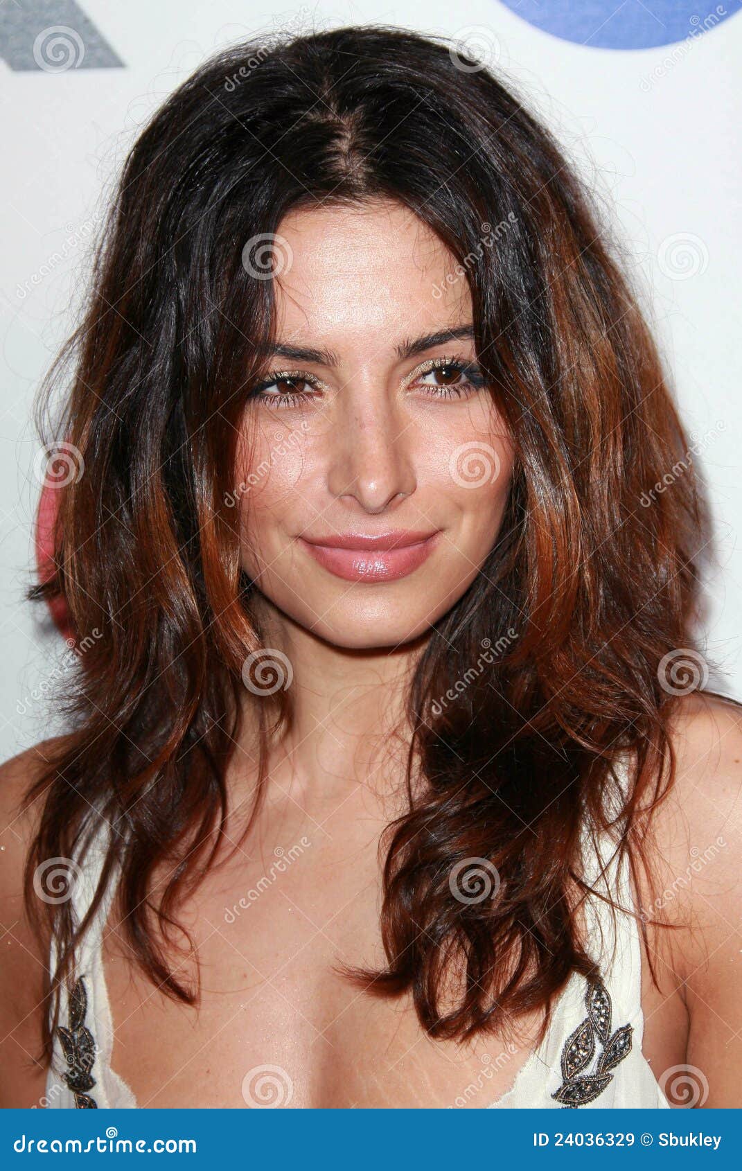 Sarah Shahi image stock éditorial. Image du hollywood - 24036329