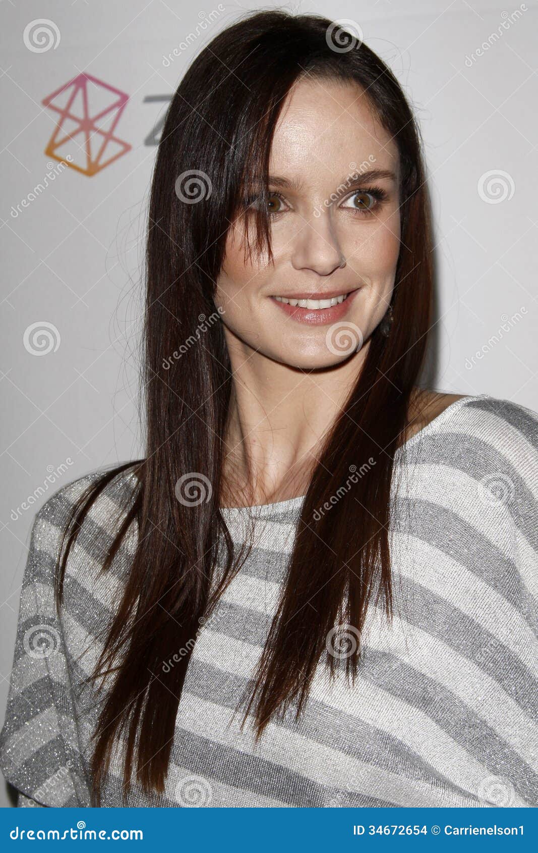 Sarah Wayne Callies redactionele stock afbeelding. Image of sarah ...