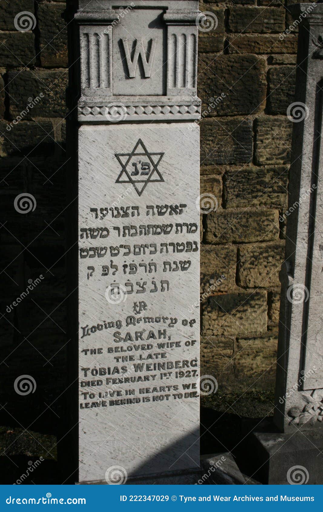 Sarah Weinberg Picture. Image: 222347029