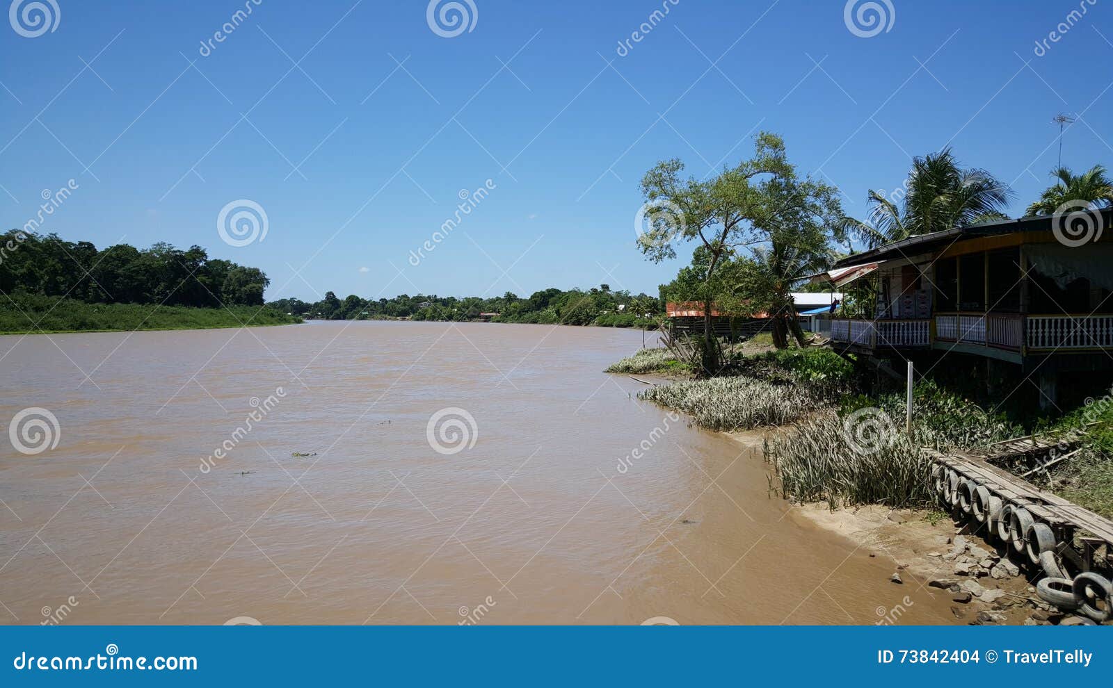 Saramacca Rivier stock photo. Image of saramacca, river - 73842404